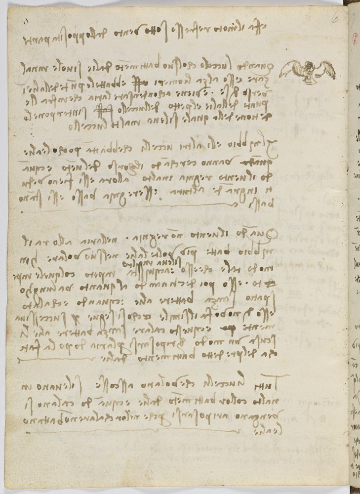 Código sobre el vuelo de los pájaros, c. 1505-06, manuscrito en papel, cc. 18, hoja 5 verso